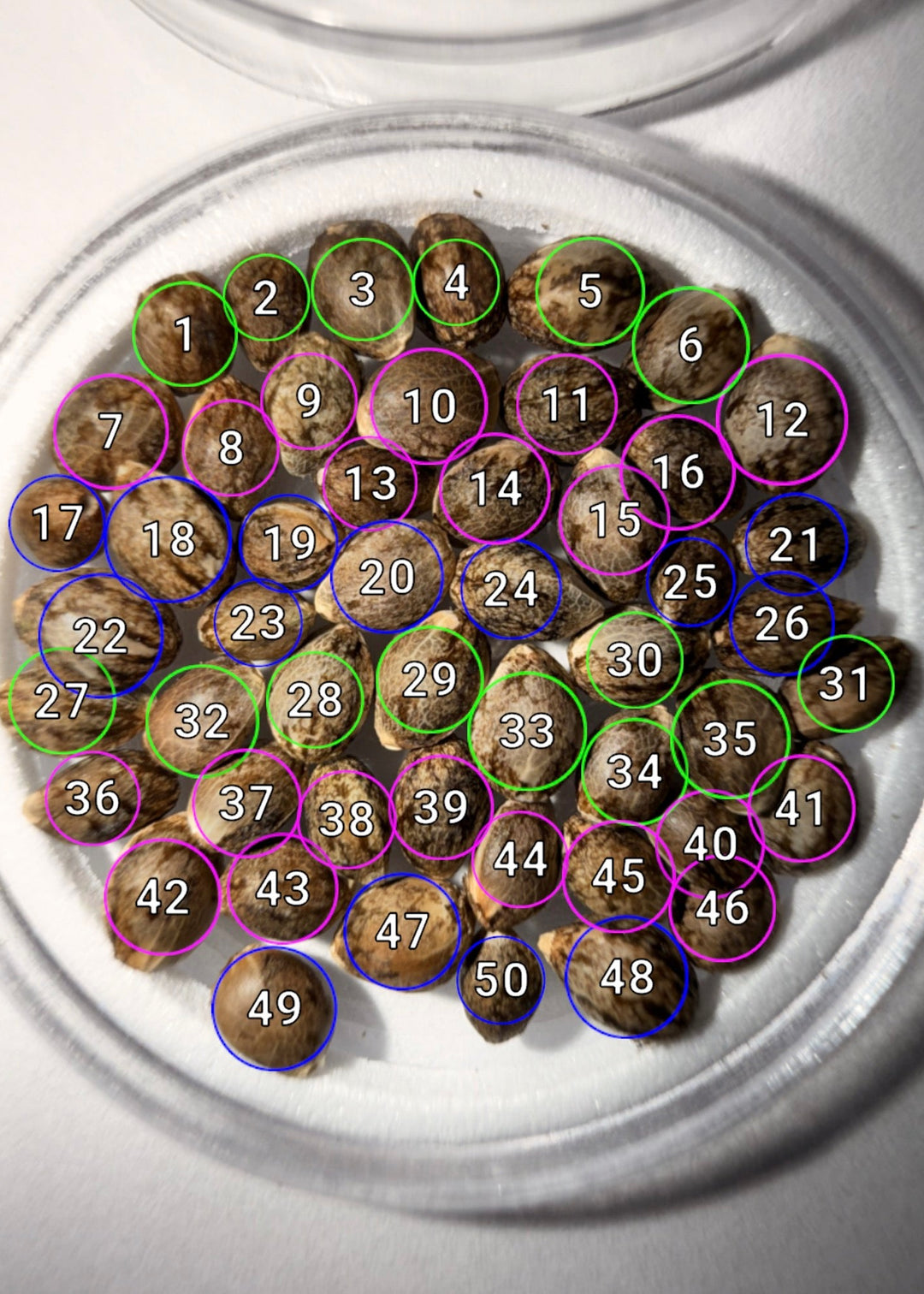 Products – Todd McCormick