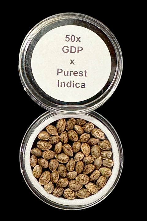 Collections – Todd McCormick