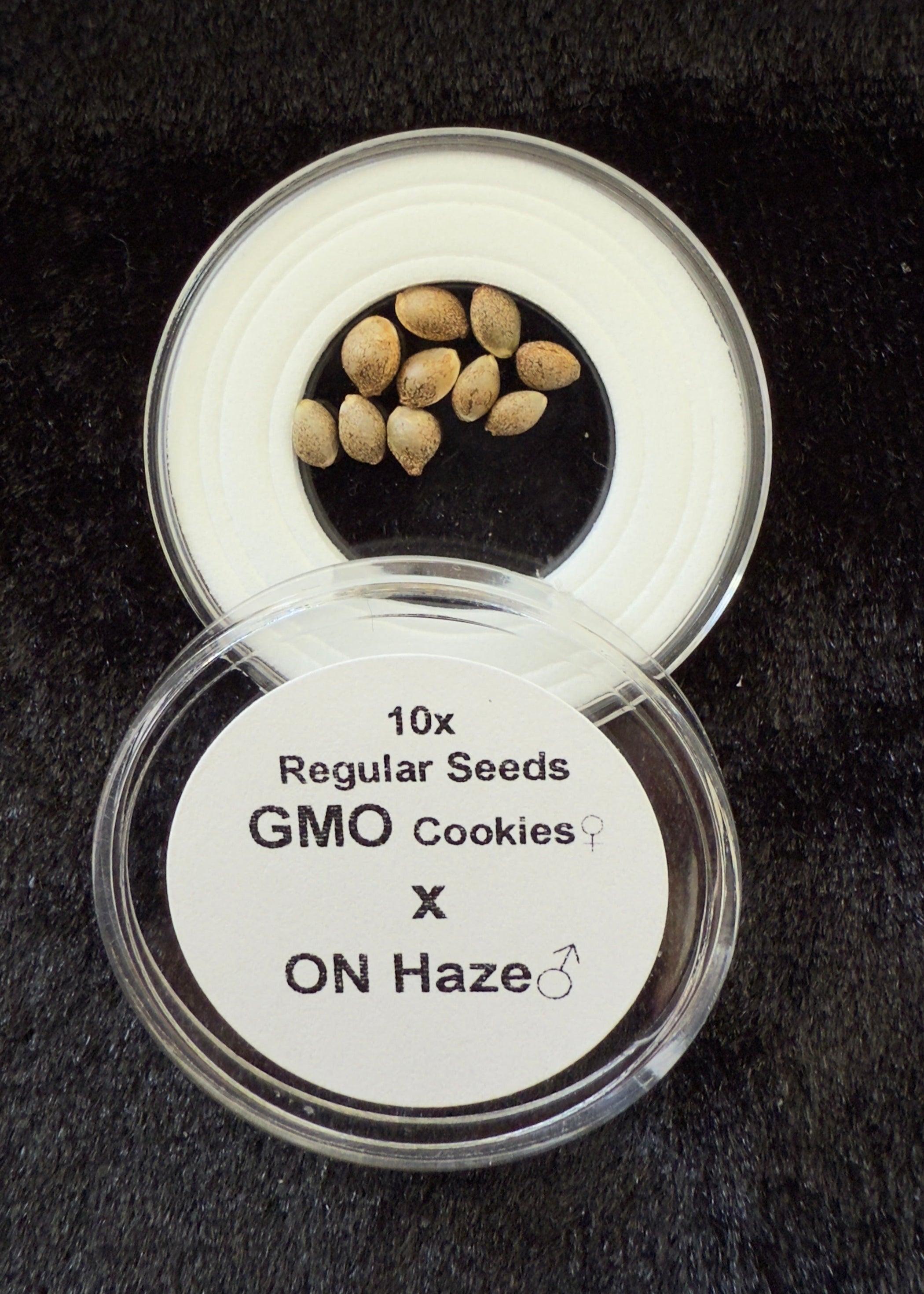 Authentic Genetics Seed Company – Todd McCormick