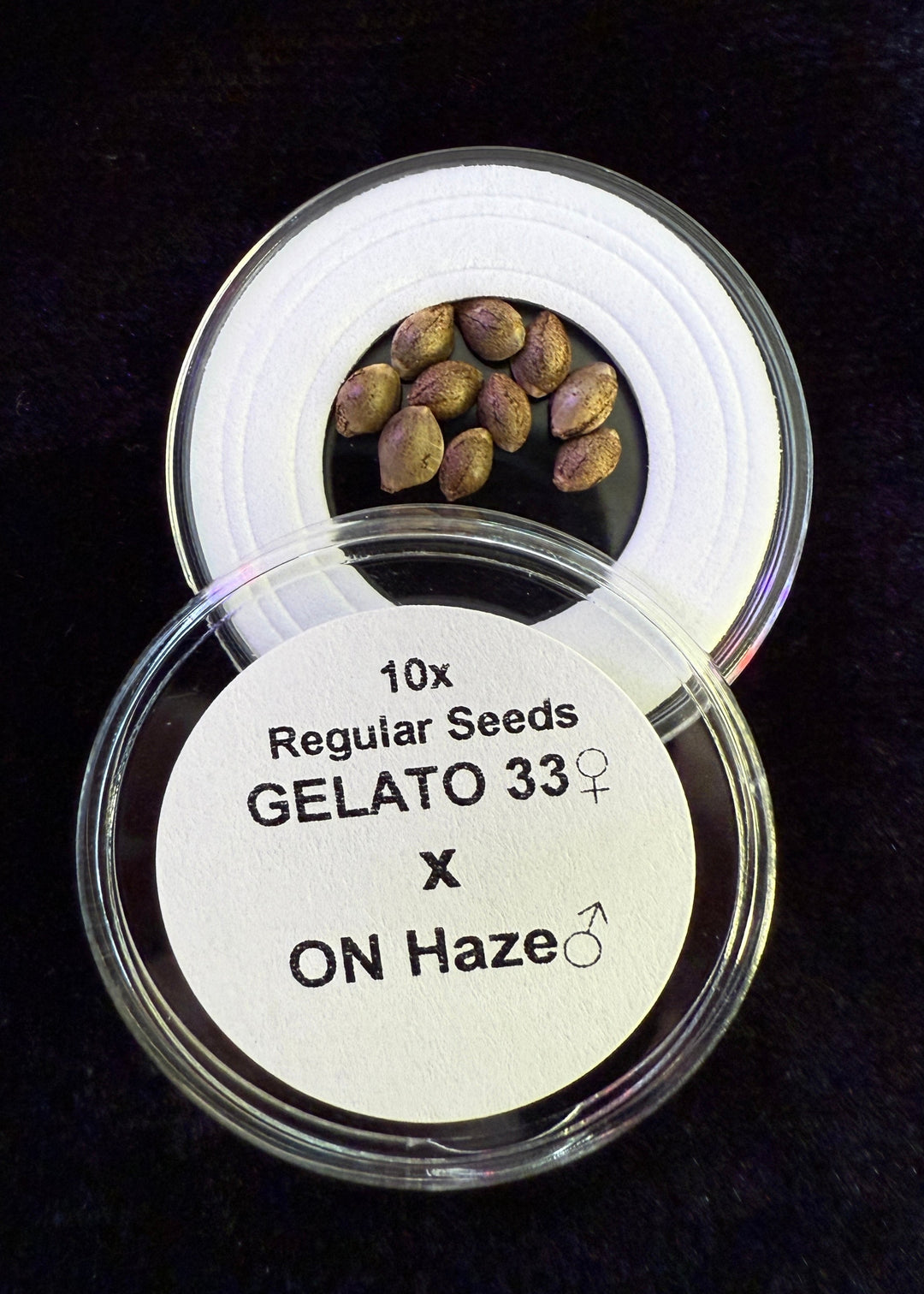 Authentic Genetics Seed Company – Todd McCormick