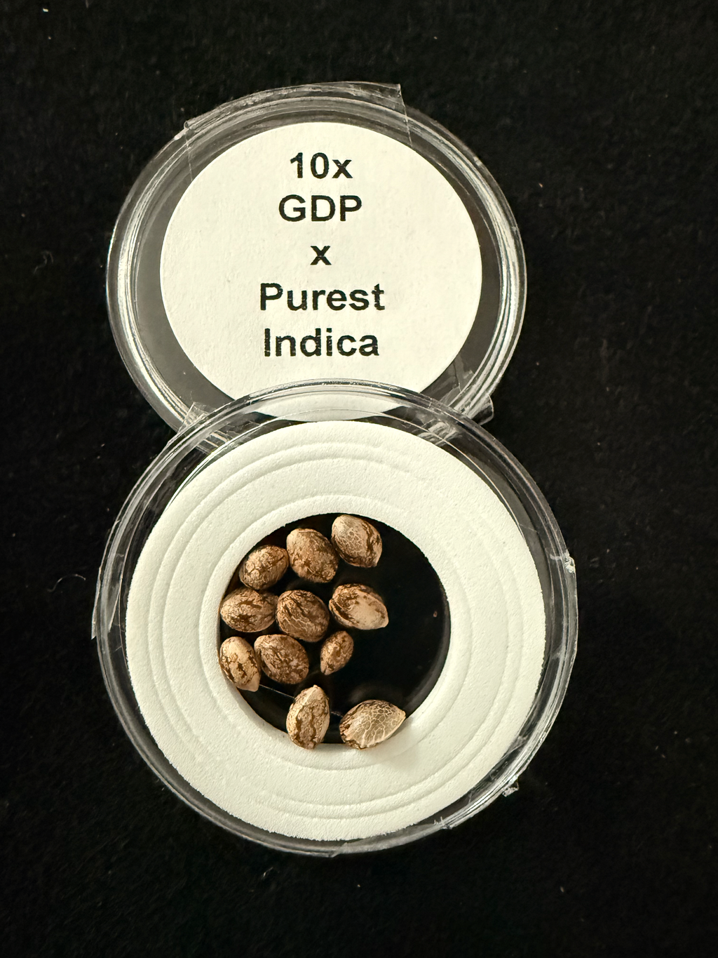 Grandaddy Purple x Purest Indica Regular Seeds 10x for $50.00 – Todd ...