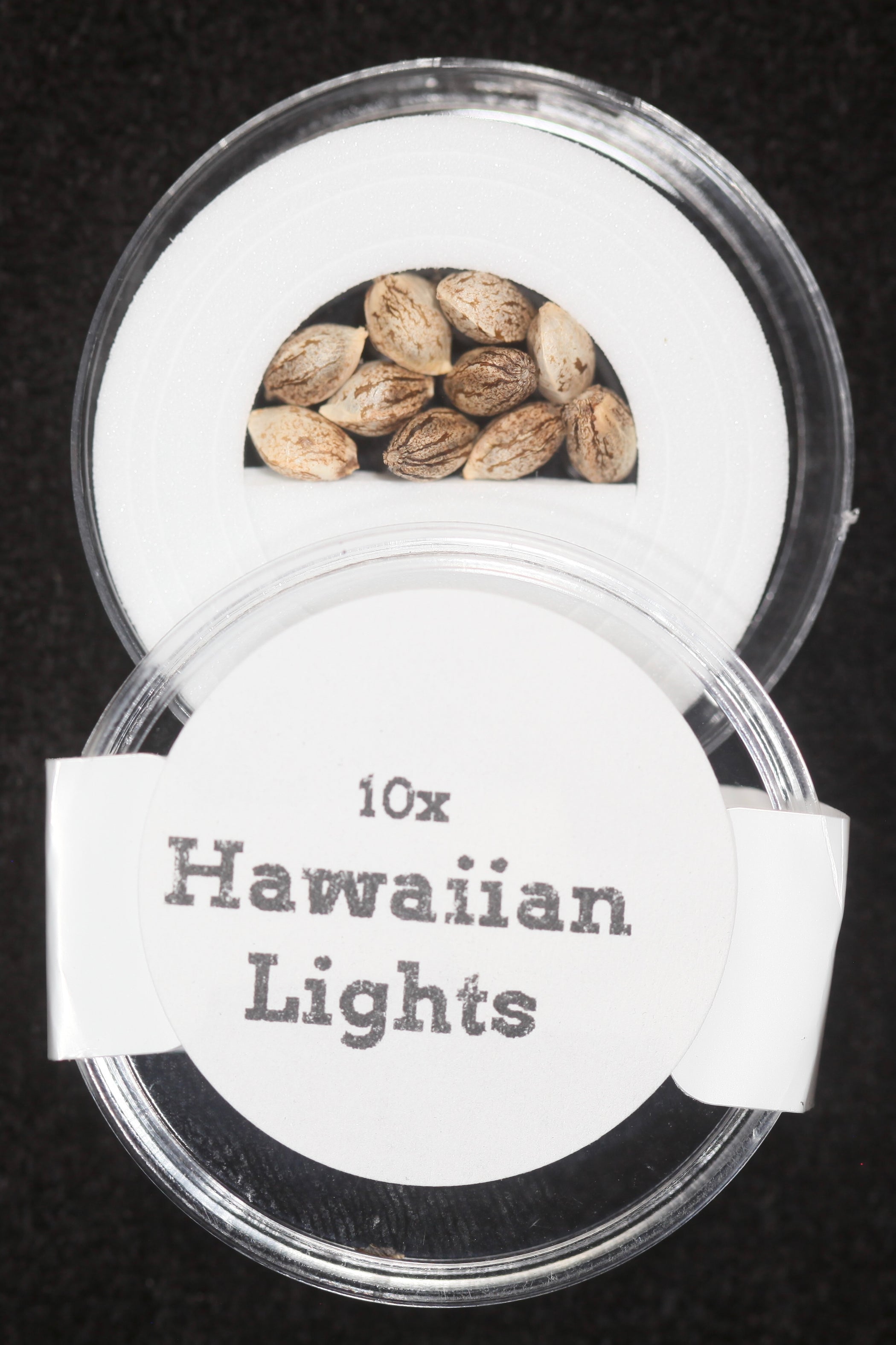 Hawaiian Lights: Purest Indica x NL#5 Regular Seeds 10x for $50.00 ...
