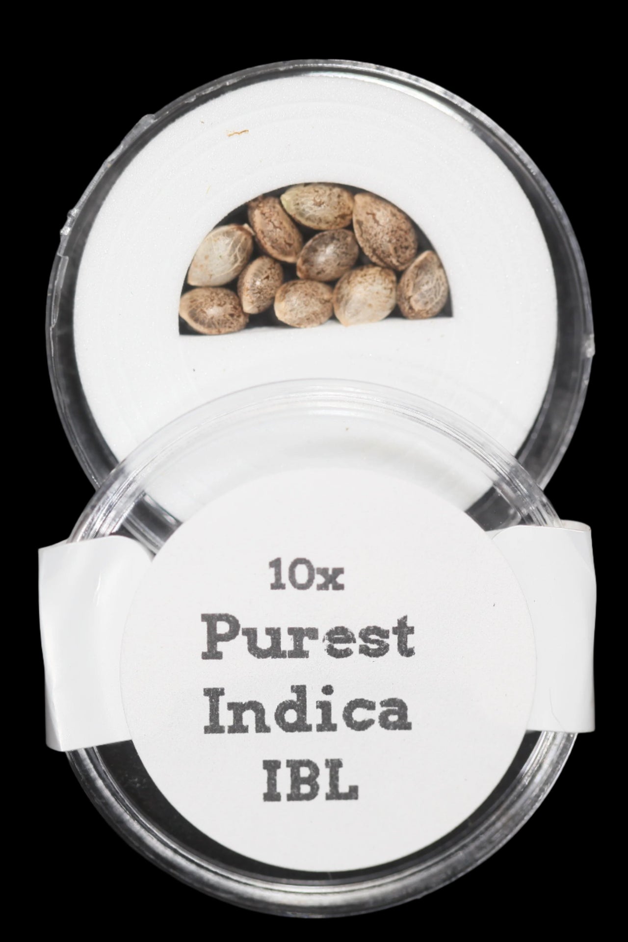 "Purest Indica" a.k.a. the Steve Murphy Afghan IBL (Inbred Line) Regul ...