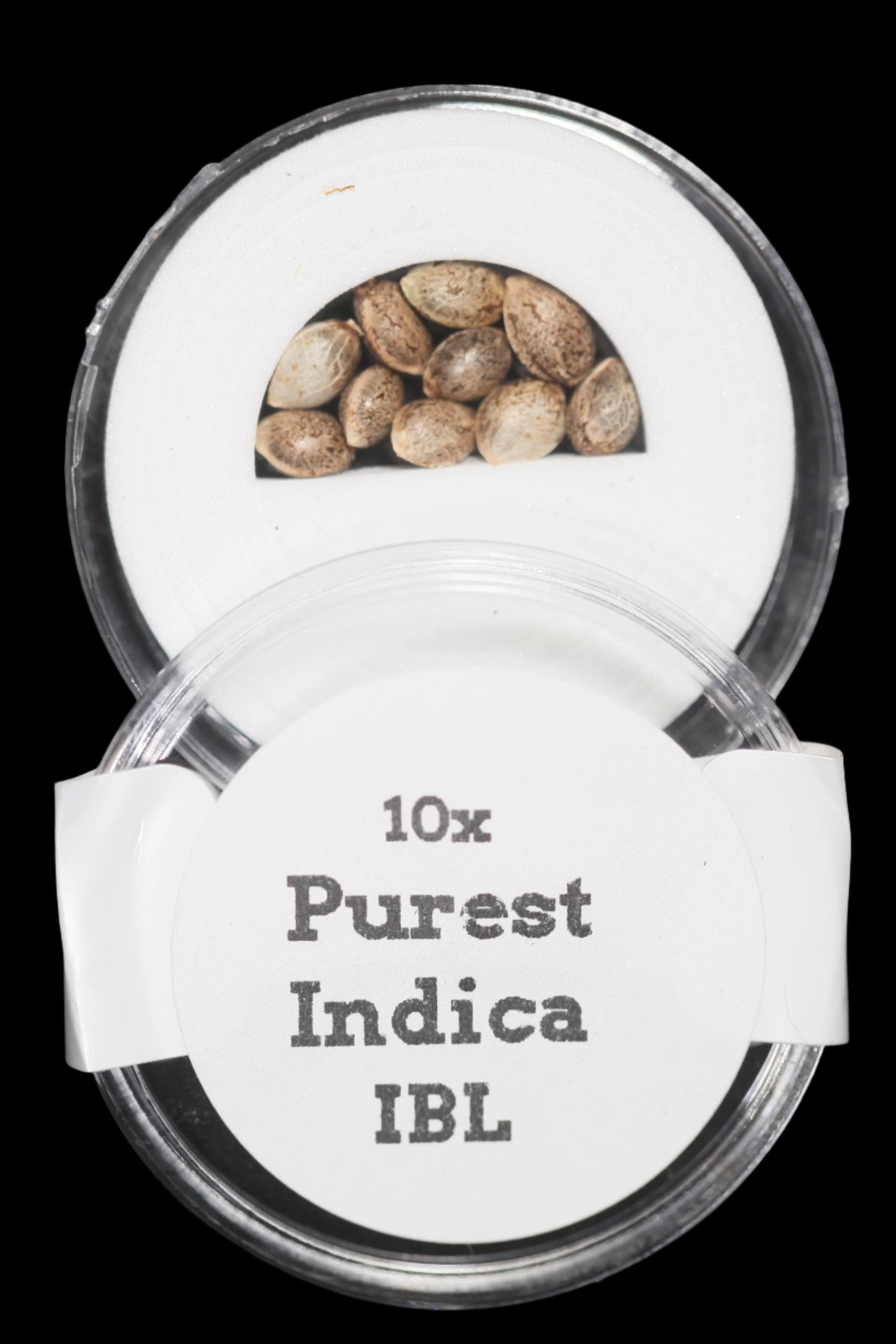 "Purest Indica" a.k.a. the Steve Murphy Afghan IBL (Inbred Line) Regul ...
