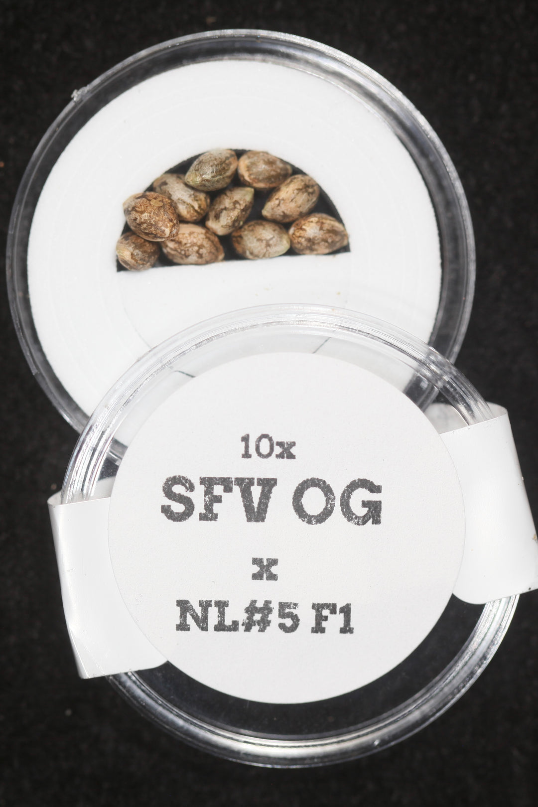 The New Northern Lights – Todd McCormick