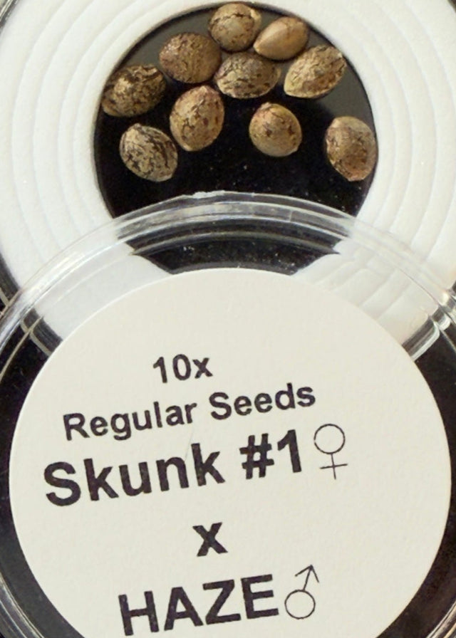 Authentic Genetics Seed Company – Todd McCormick