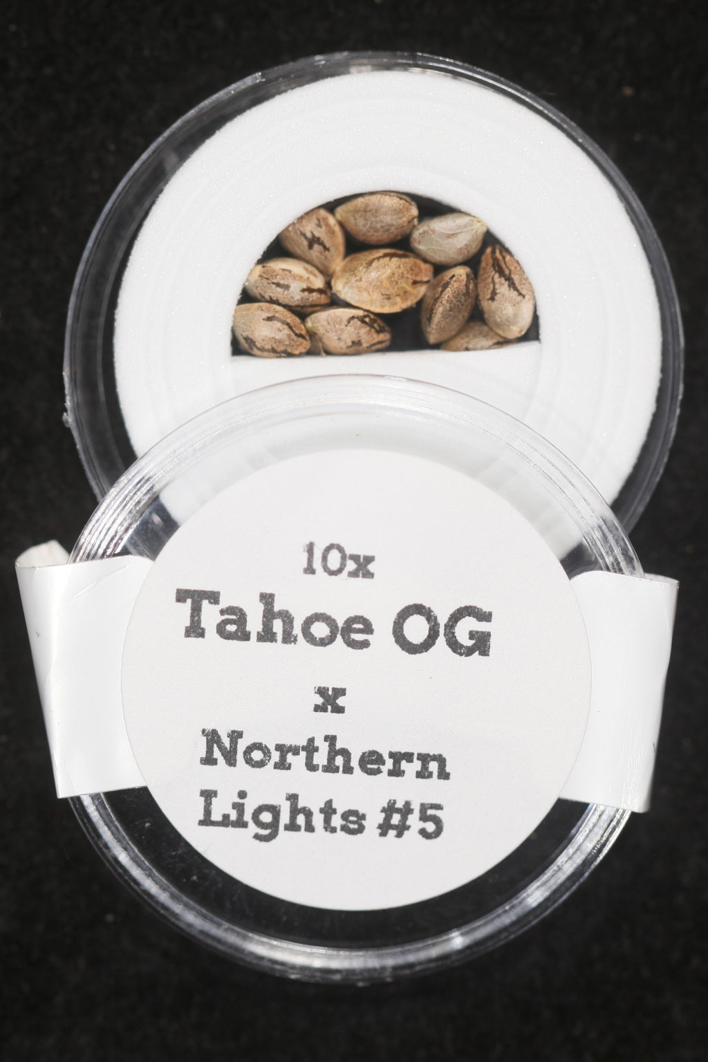 Tahoe OG x NL#5 Regular Regular Seeds 10x for $50.00 – Todd McCormick