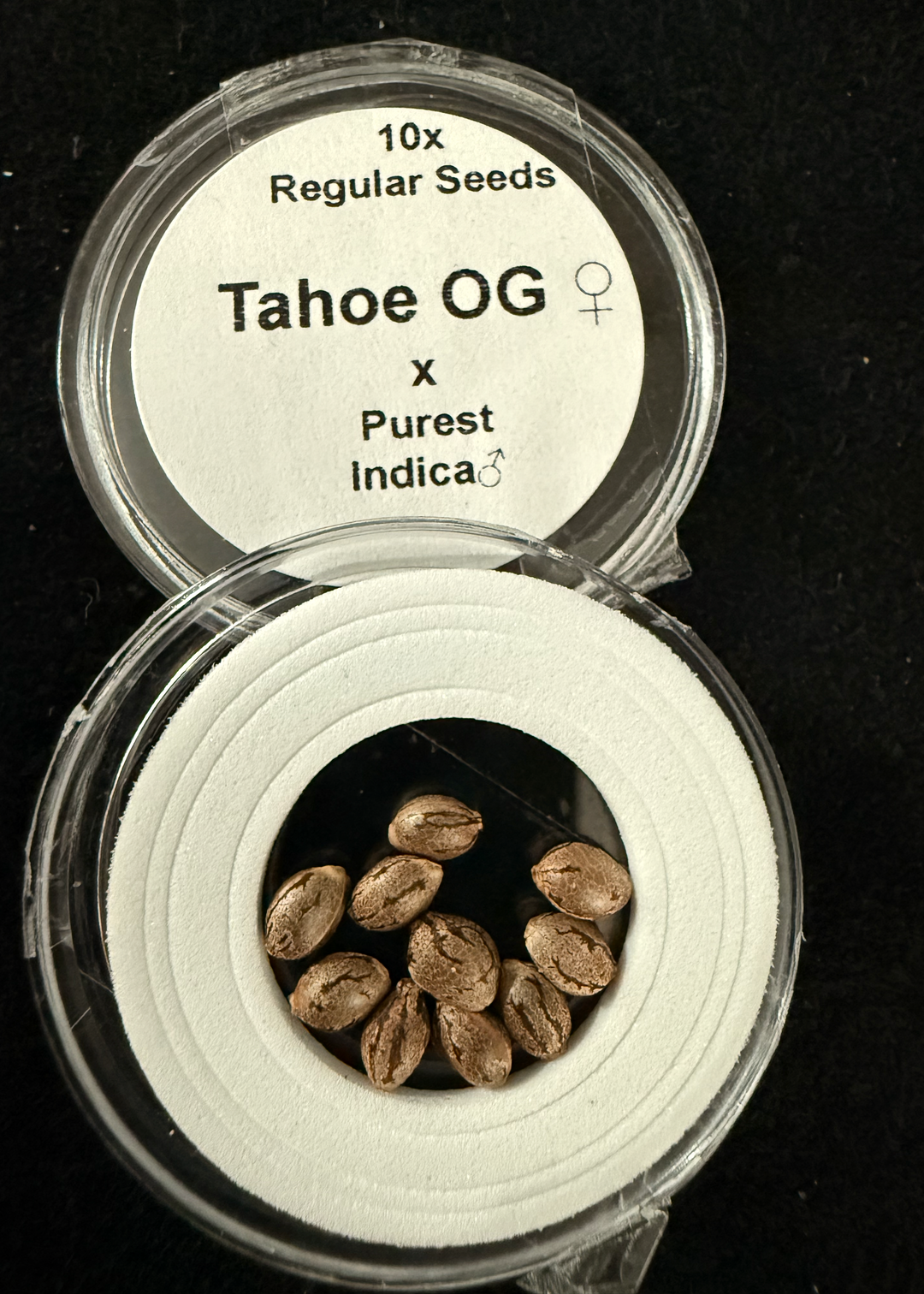 Tahoe OG x Purest Indica Seeds, 10 Regular Seeds 10x for $50.00 – Todd ...