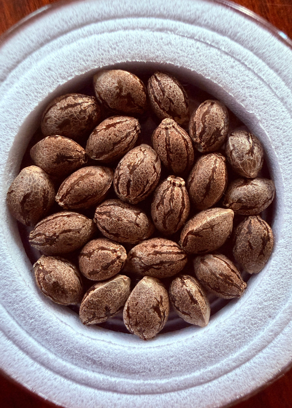 25x Tahoe OG x Purest Indica Regular Seeds for $25.00 – Todd McCormick